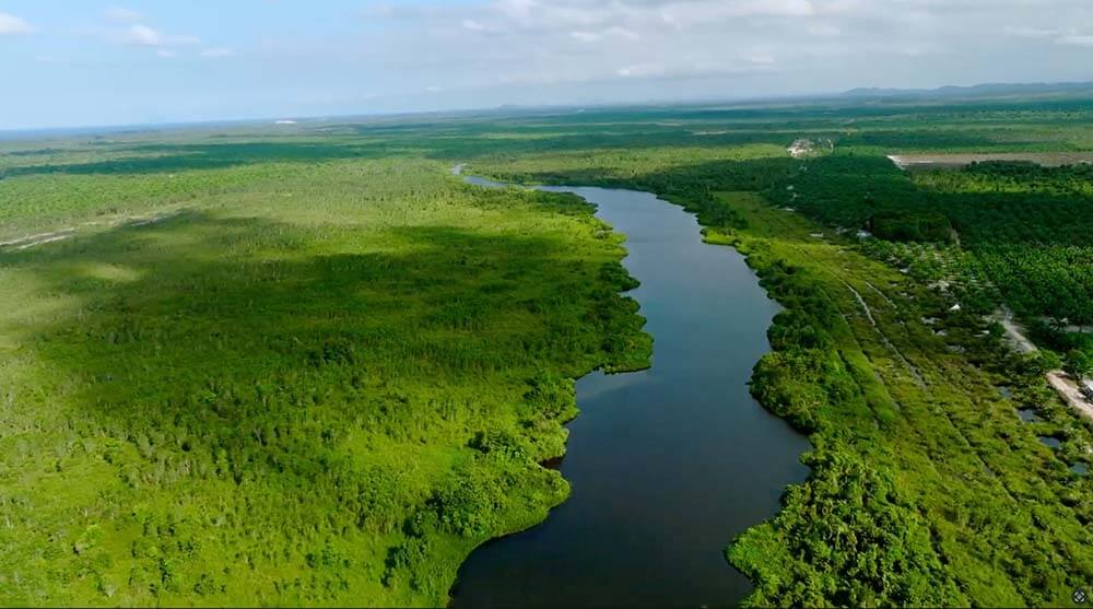 Setiu Wetlands: Terengganu’s Underrated Natural Treasure – Katsetiu