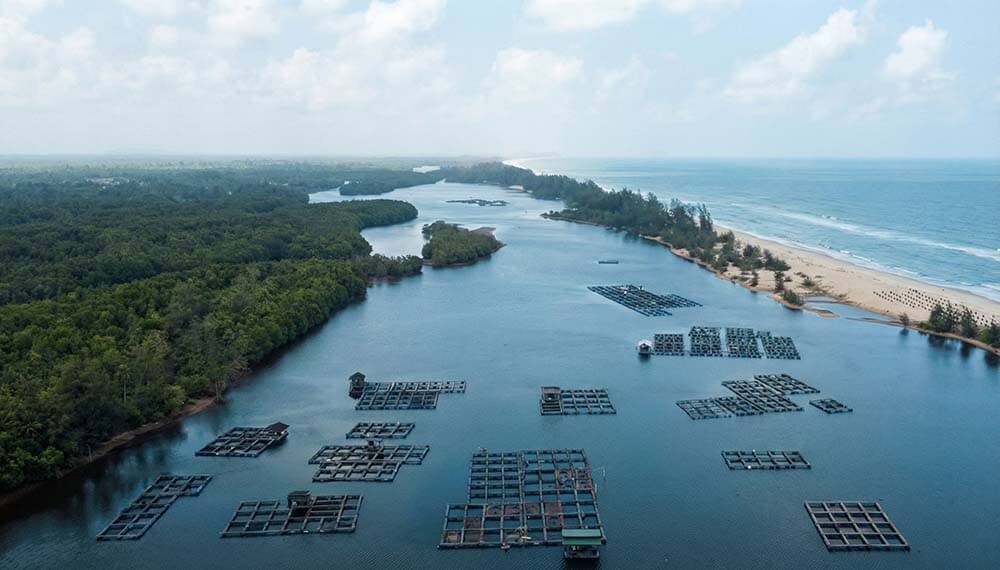 Setiu Wetlands: Terengganu’s Underrated Natural Treasure – Katsetiu
