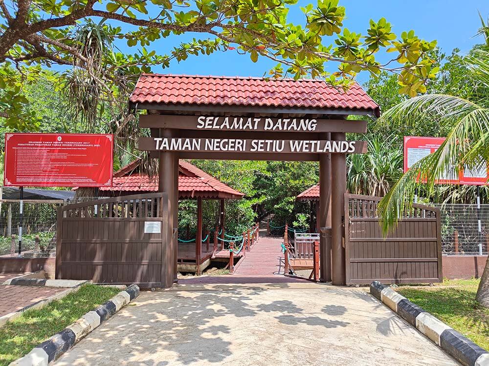 Setiu Wetlands: Terengganu’s Underrated Natural Treasure – Katsetiu