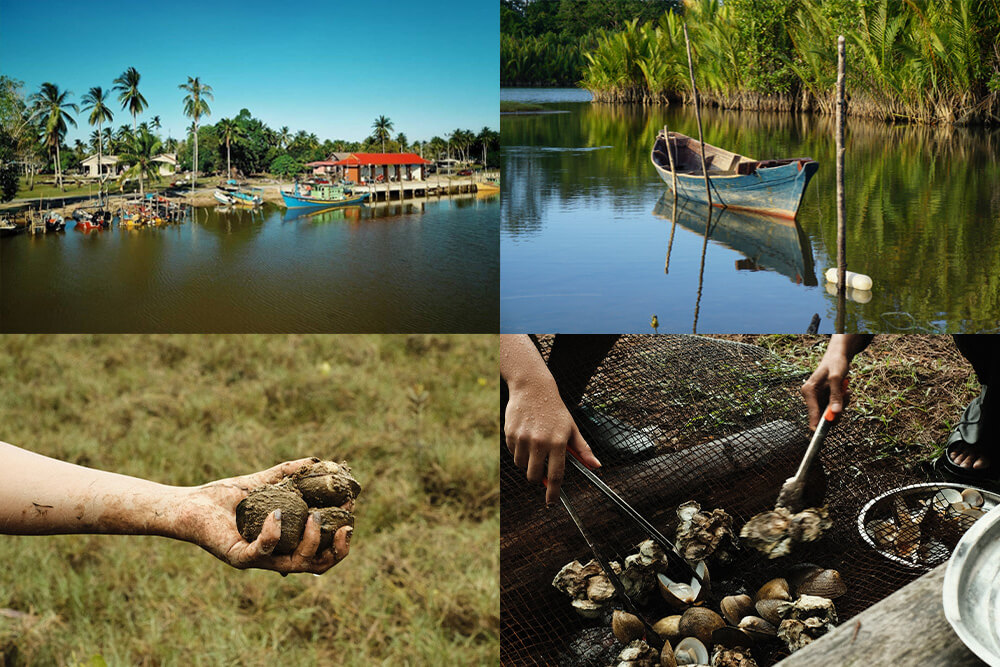 Setiu Wetlands: Terengganu’s Underrated Natural Treasure – Katsetiu